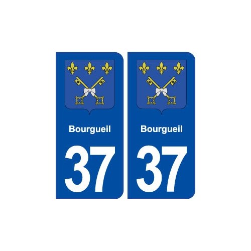 37 Bourgueil blason ville autocollant plaque stickers | eBay