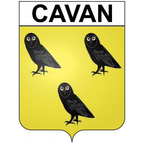 Cavan 22 ville Stickers blason autocollant adhésif | eBay