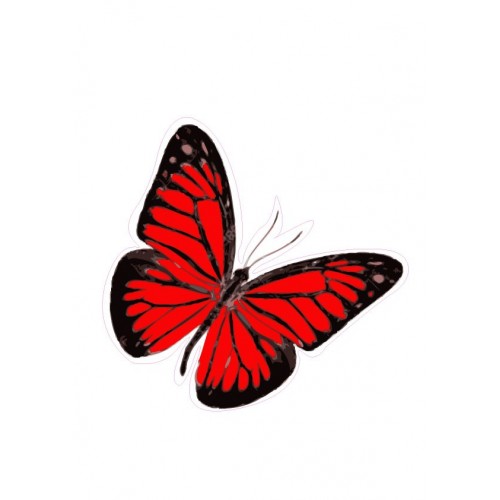 Papillon rouges 62 autocollant adhésif sticker